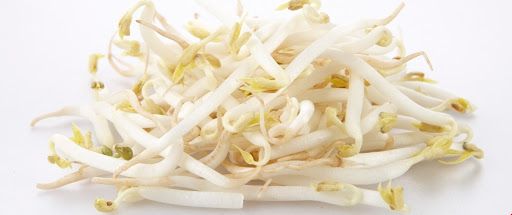 Semilla de soya para germinados | Al Natural Grow Shop