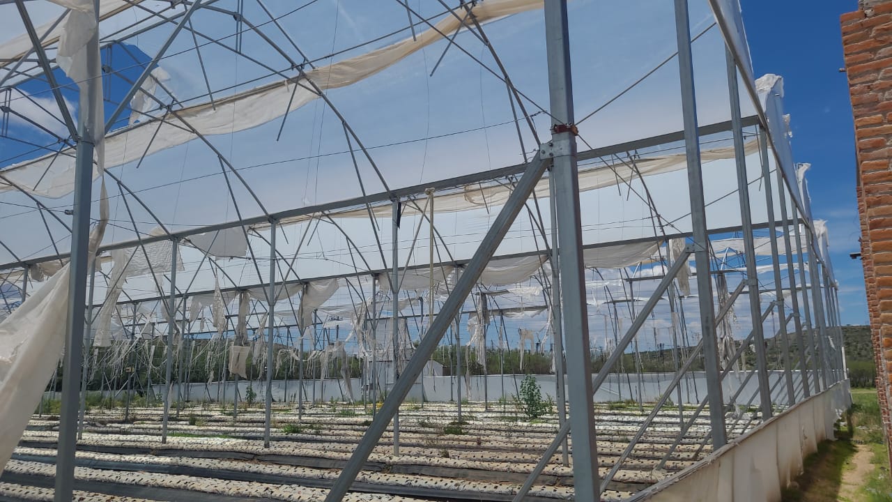 Invernadero segunda mano 2 hectáreas | Al Natural Grow ShopInvernadero ...