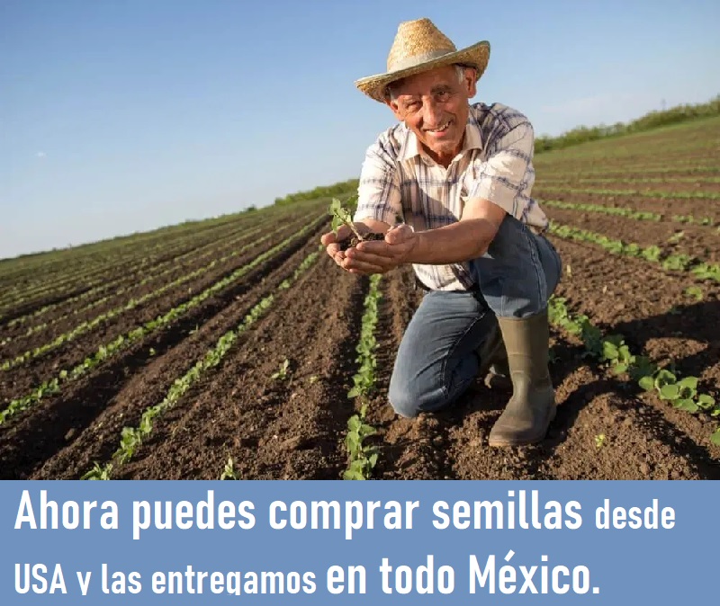 Semillas para siembra | Tienda online de semilla