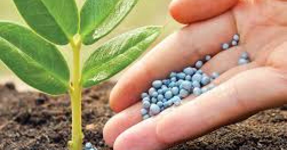 Guia rápida de nutrición vegetal | Nutrientes para plantas